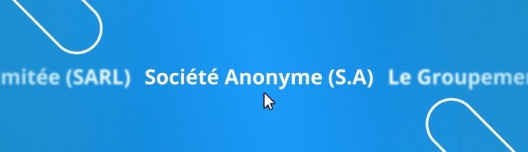 Die Société Anonyme: Definition und Funktionsweise – Wintime